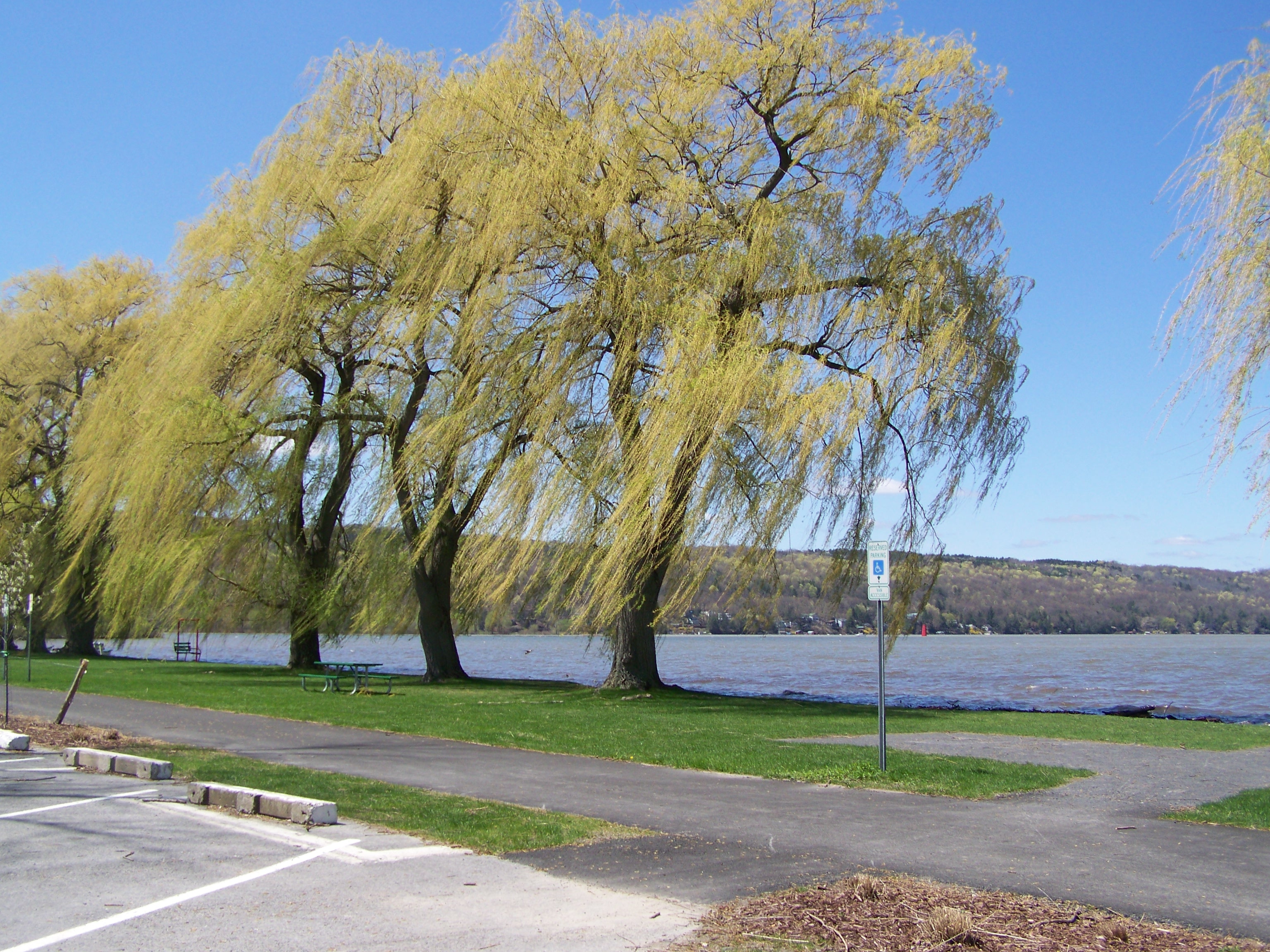 Remembering the dark days of Dryden