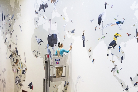 Cornell mural spans wall and 375 million-year avian history