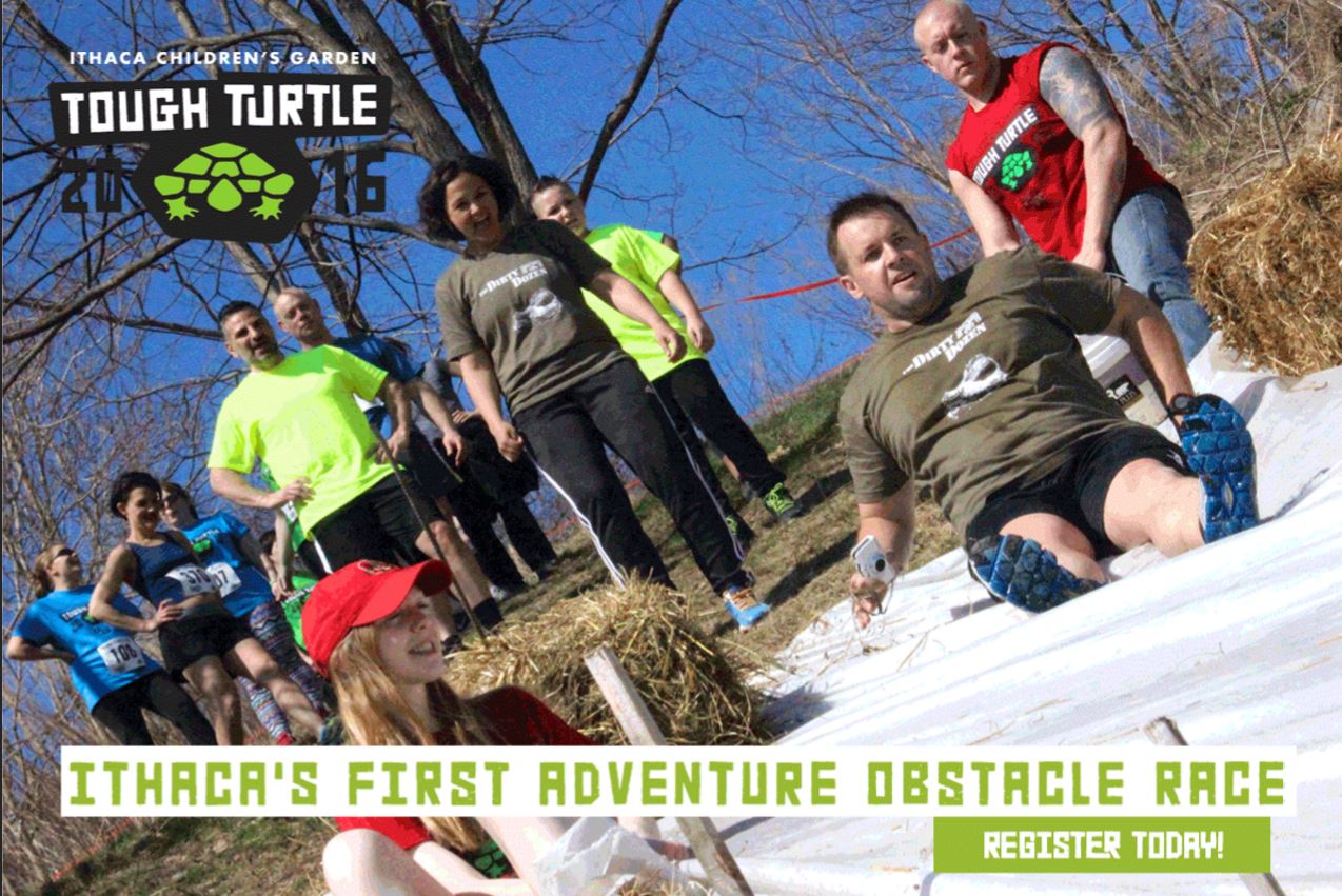 ToughTurtle - The Ithaca Voice