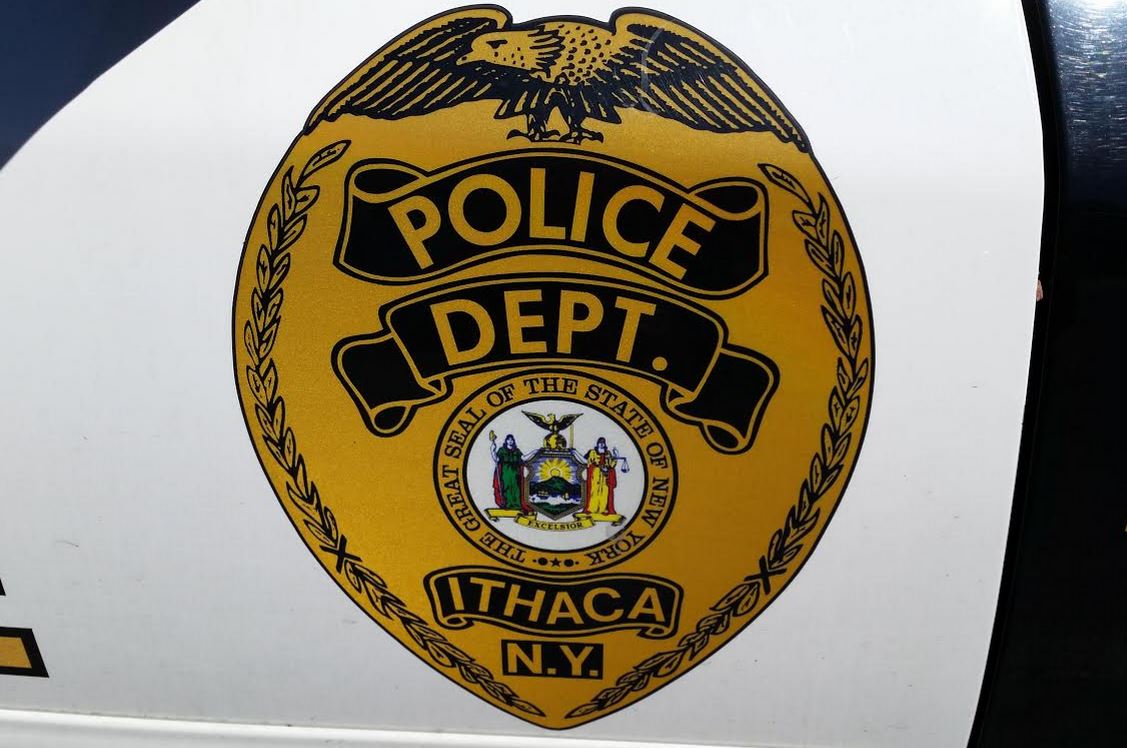 IPD logo - The Ithaca Voice