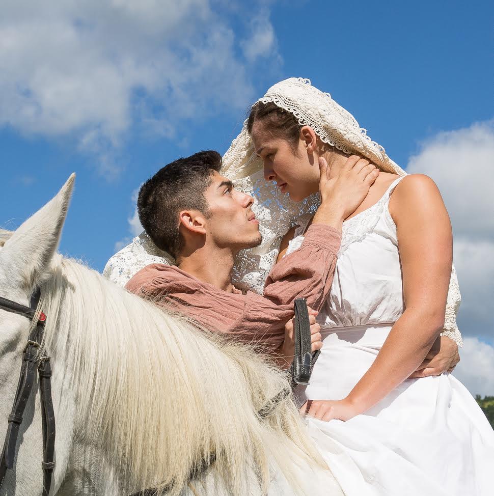 Horse Blood Wedding