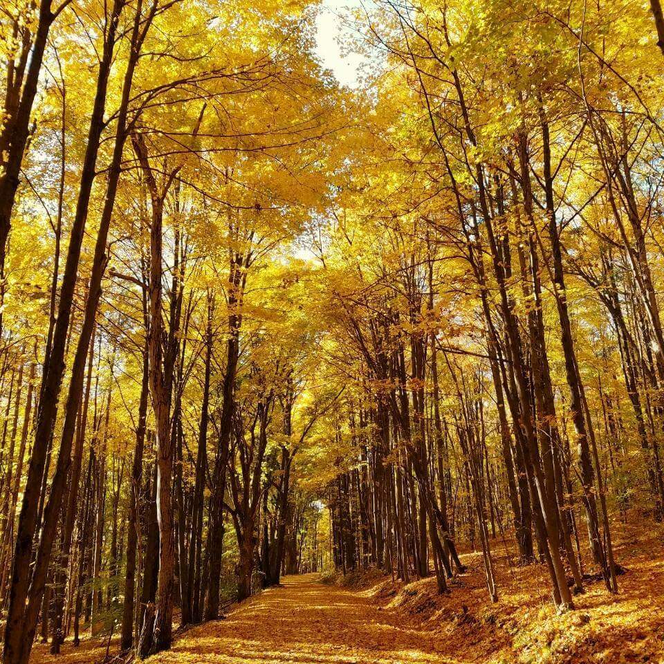 Gallery: Fall photos of Ithaca and Tompkins by our readers - The Ithaca ...