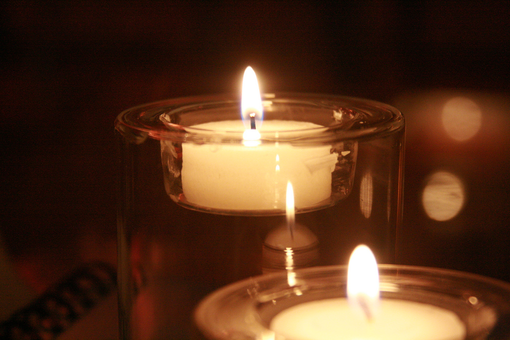 Obituary: Stephanie A. Gaynor - The Ithaca Voice