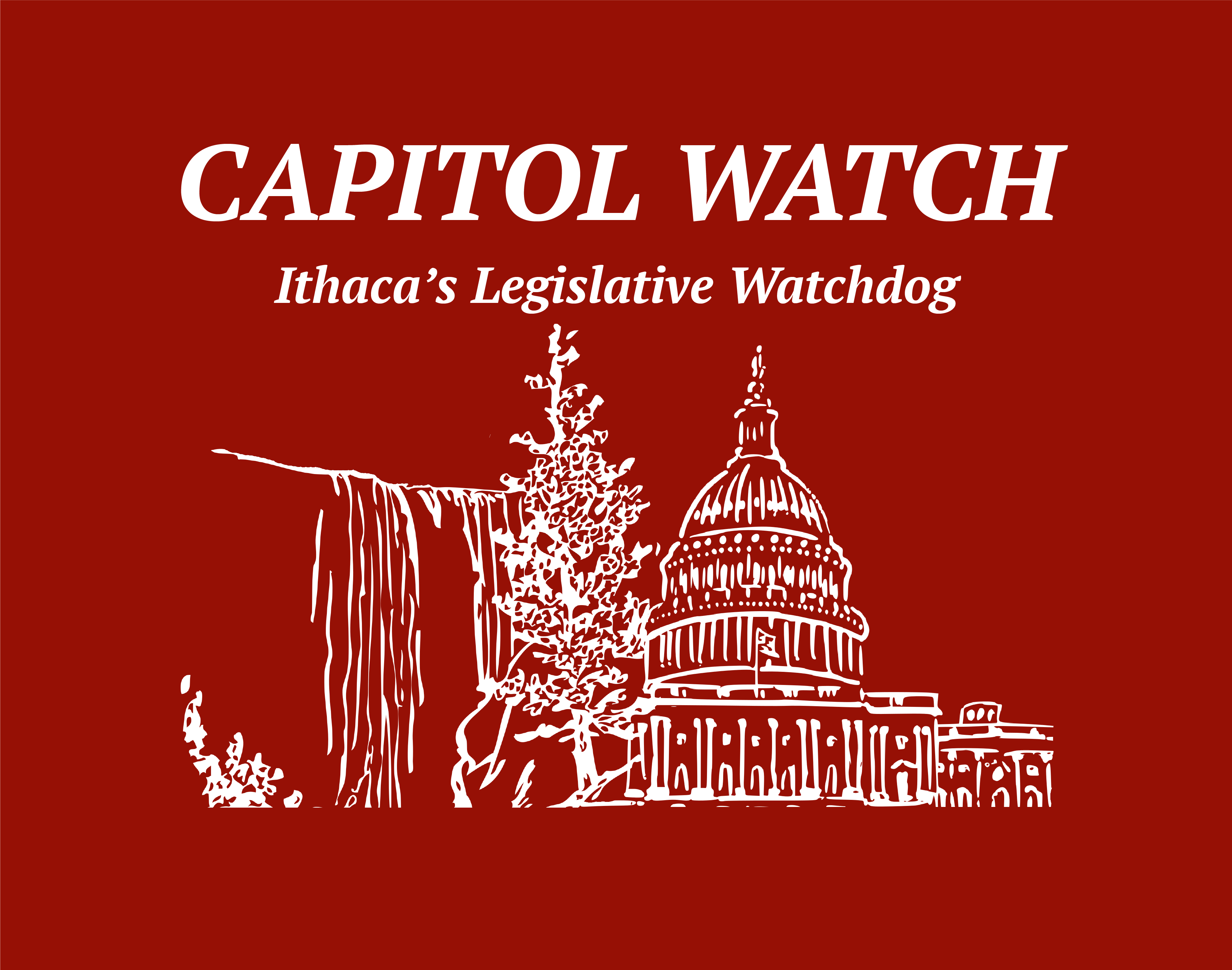 Capitol Watch: Child Victims Act, guns bills in Albany, mid-east ...
