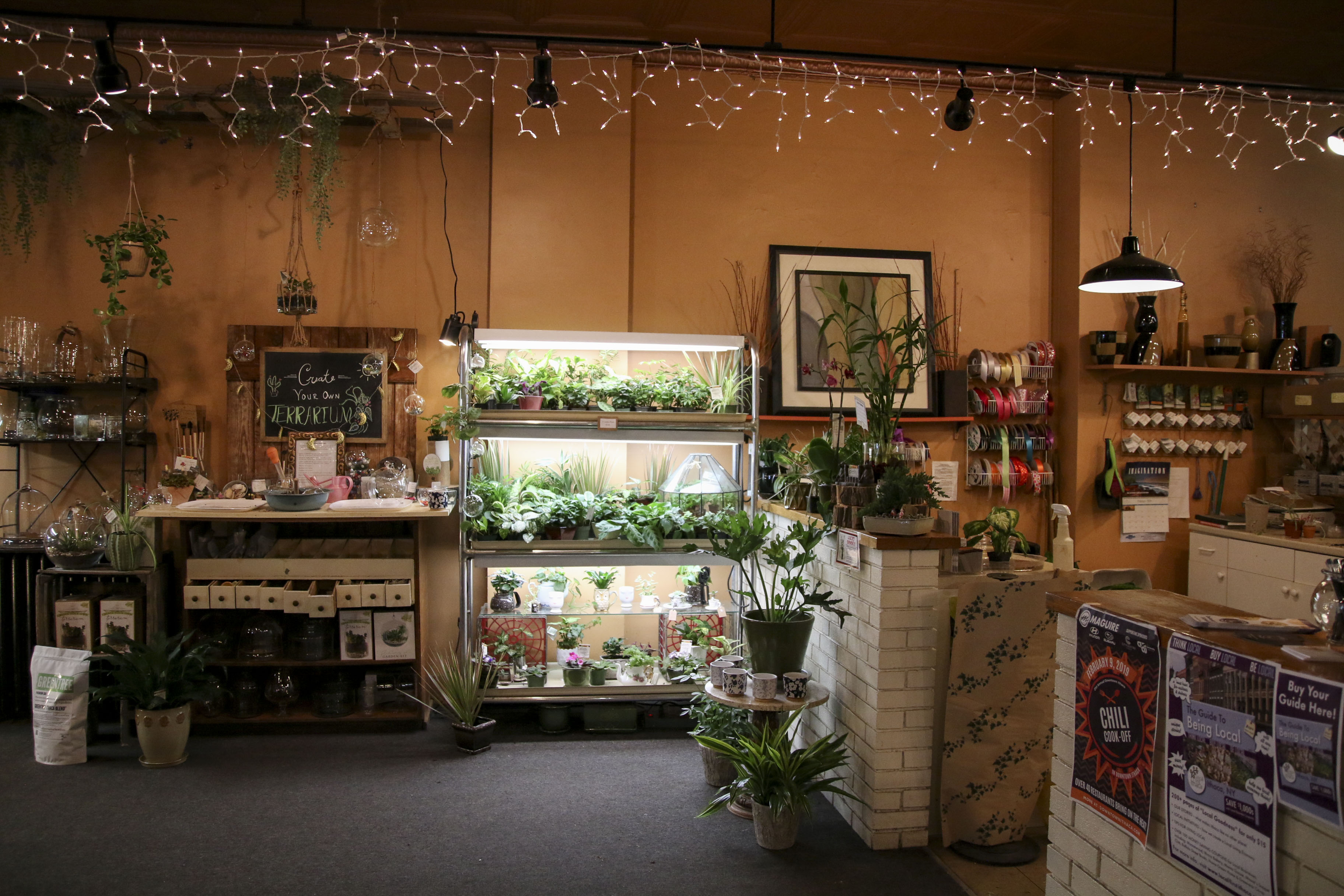 20190205_Bools_flower_shop_05 - The Ithaca Voice