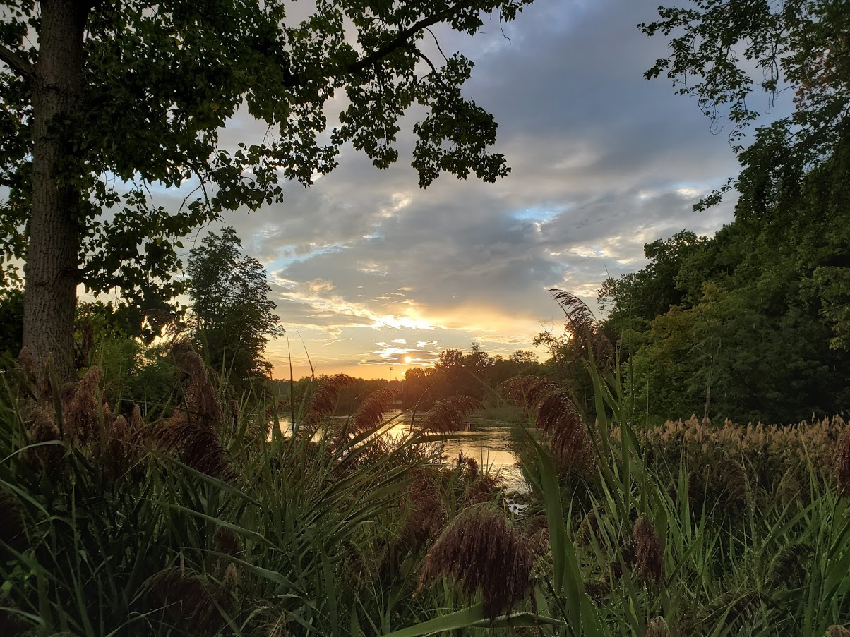 Weather: A hot, sunny start turns cooler late week - The Ithaca Voice