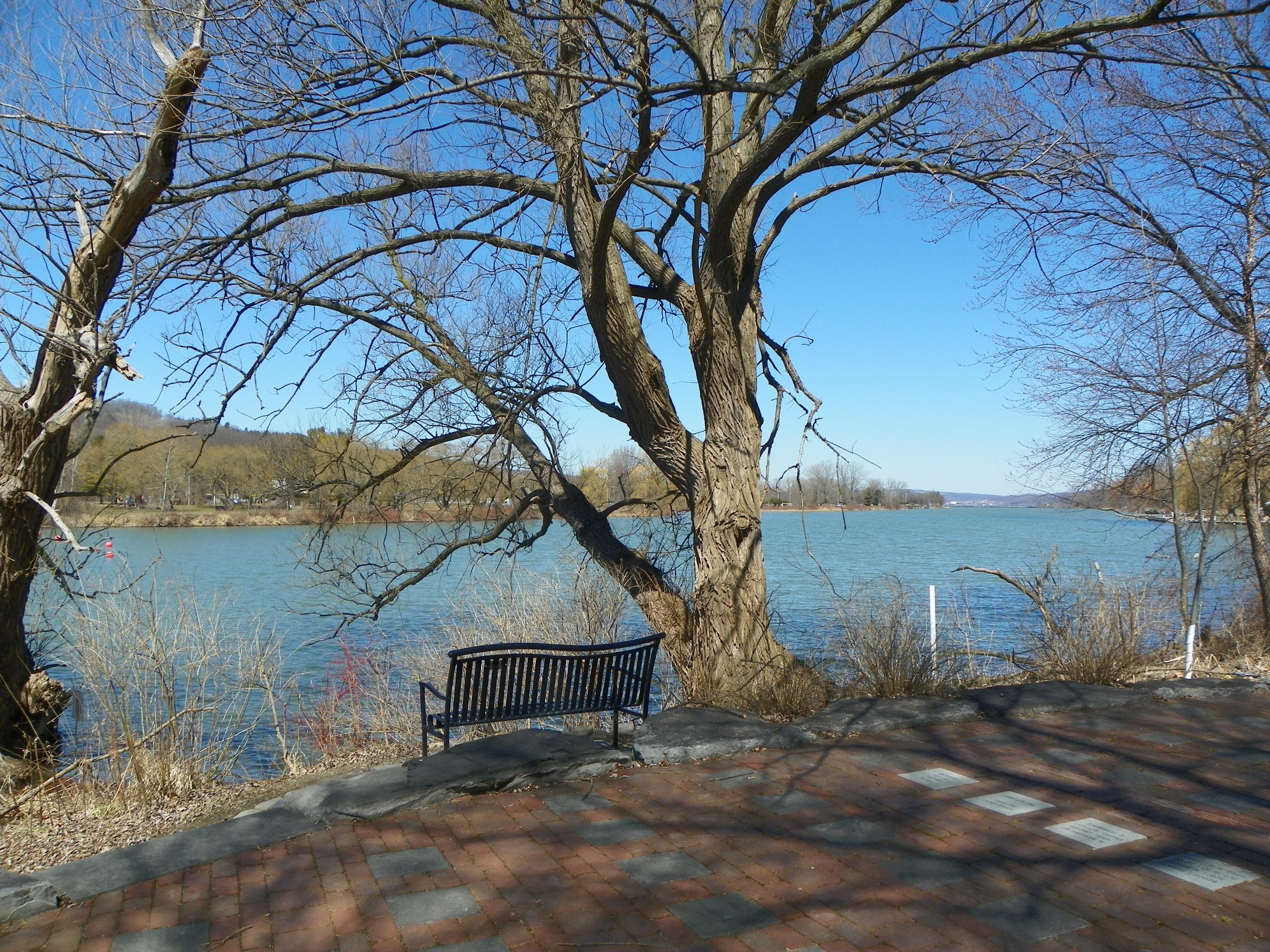 Weather: Spring is Here - The Ithaca Voice
