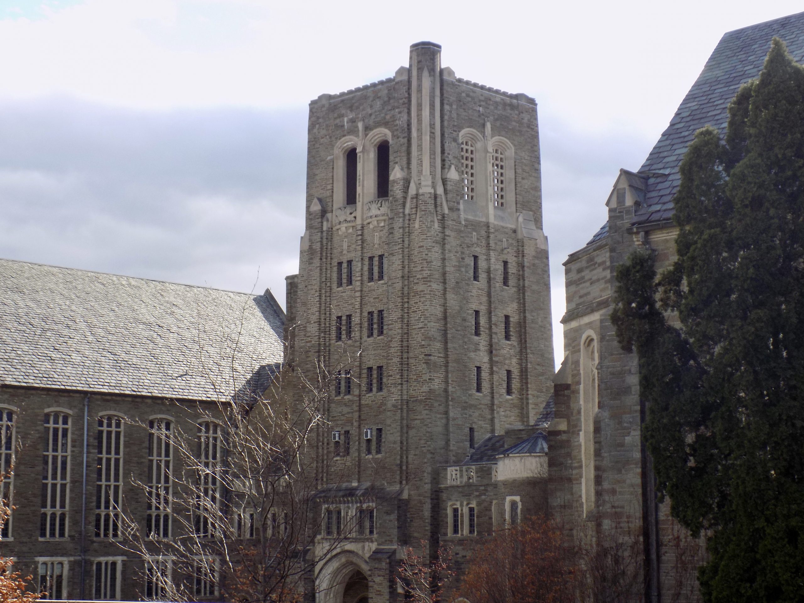 Cornell University freshman dies from hiking injuries sustained over ...