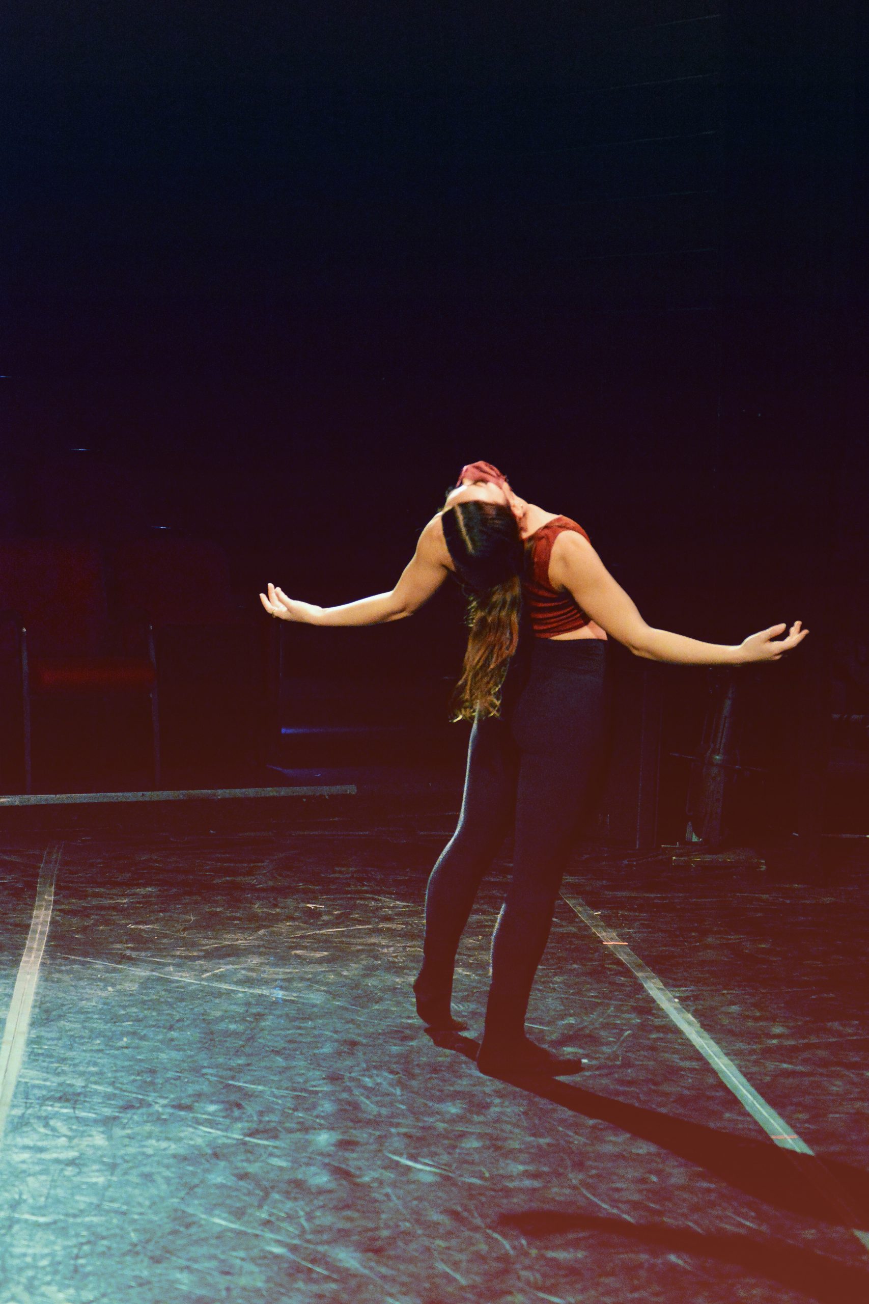 Ithaca Ballet announces virtual spring performance - The Ithaca Voice