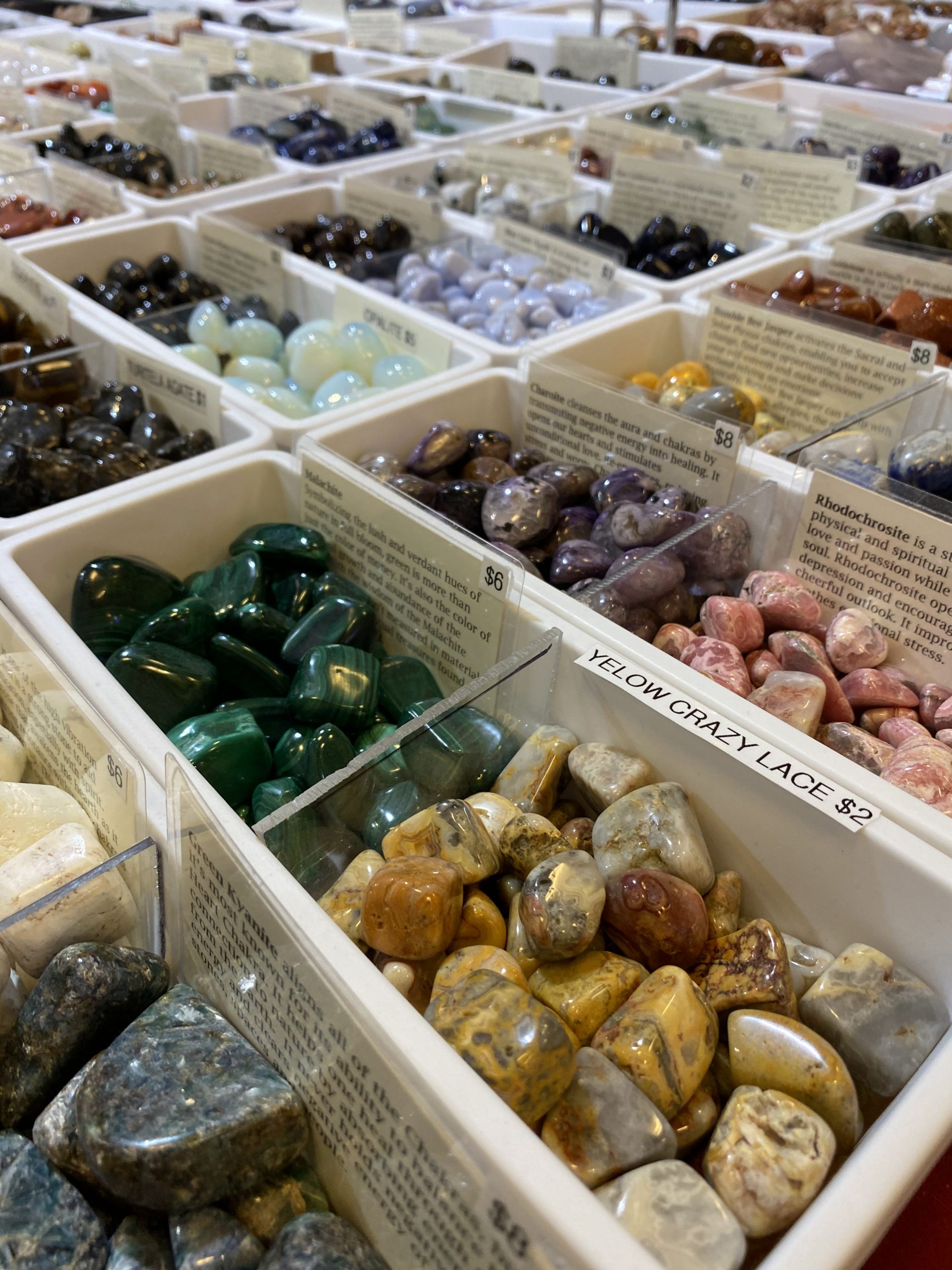 Sunshine_Creative_Designs_Rocks - The Ithaca Voice