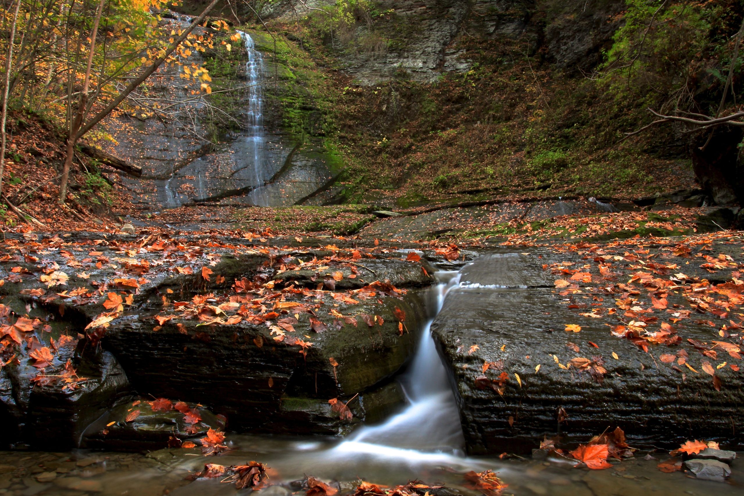 Popular but informal trailhead becomes protected land - The Ithaca Voice