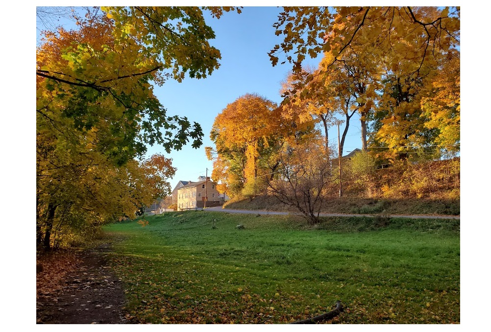 Weather: Unseasonable mildness and sun this week - The Ithaca Voice