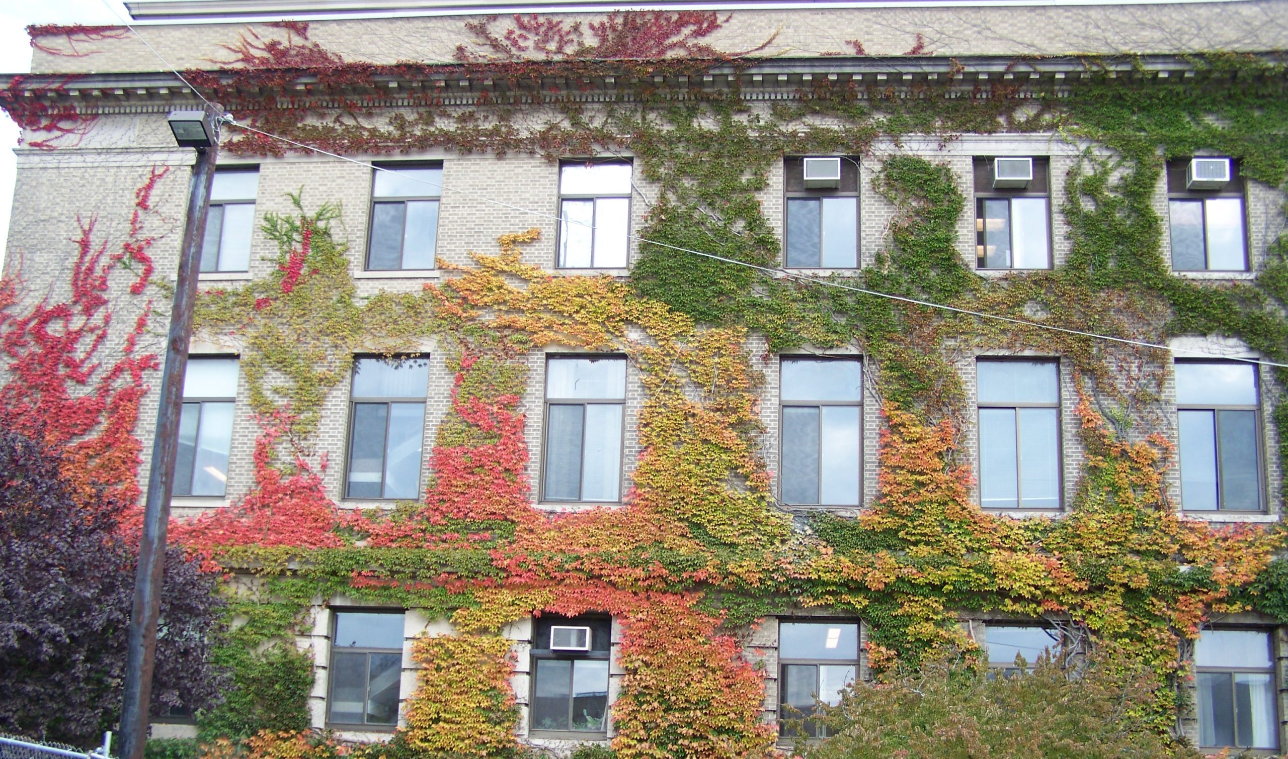 Weather: Record heat to subside, but a warm week overall - The Ithaca Voice