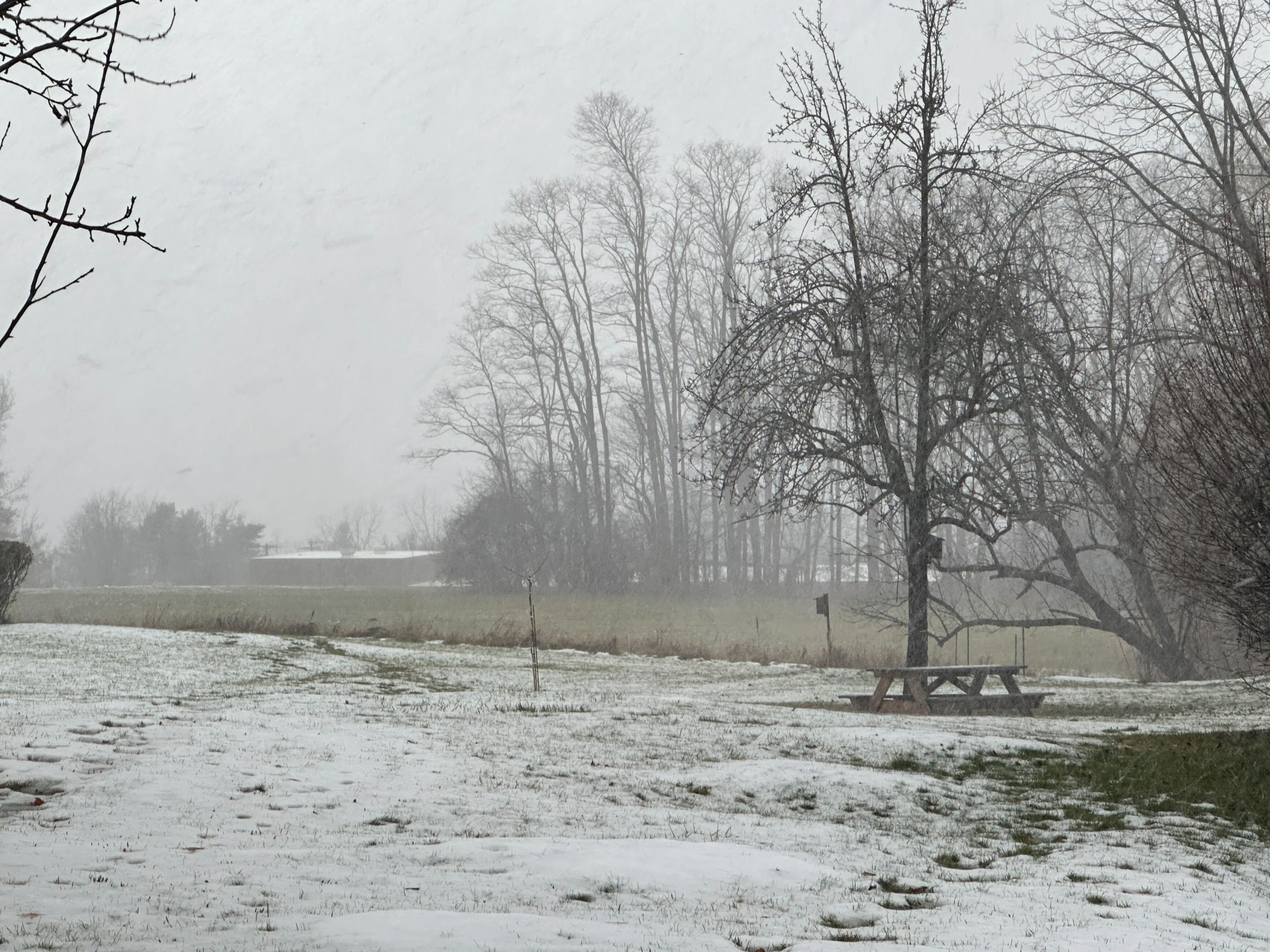State declares emergency for storm as temperatures begin steep decline ...