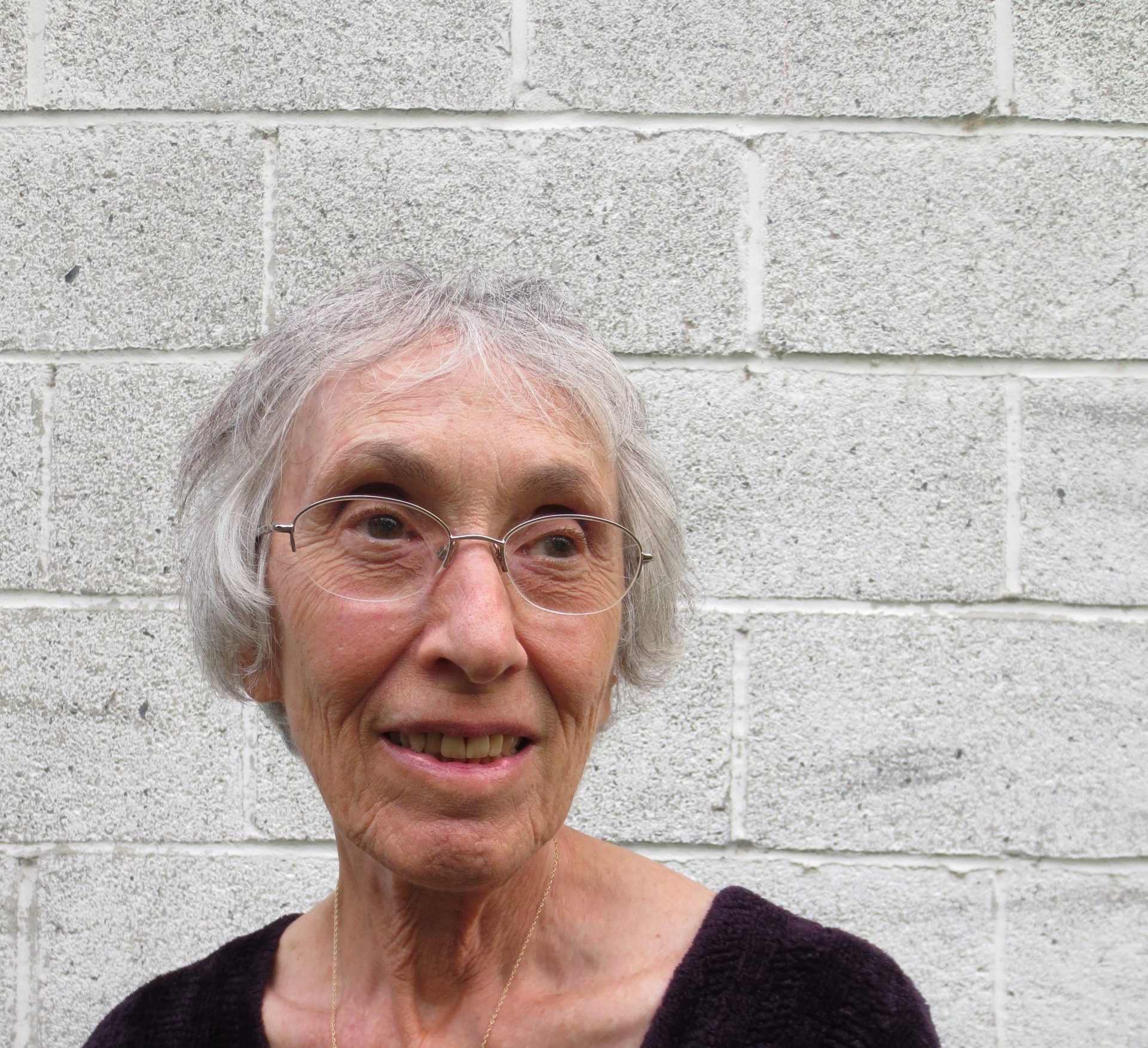 Janet Sherman - The Ithaca Voice