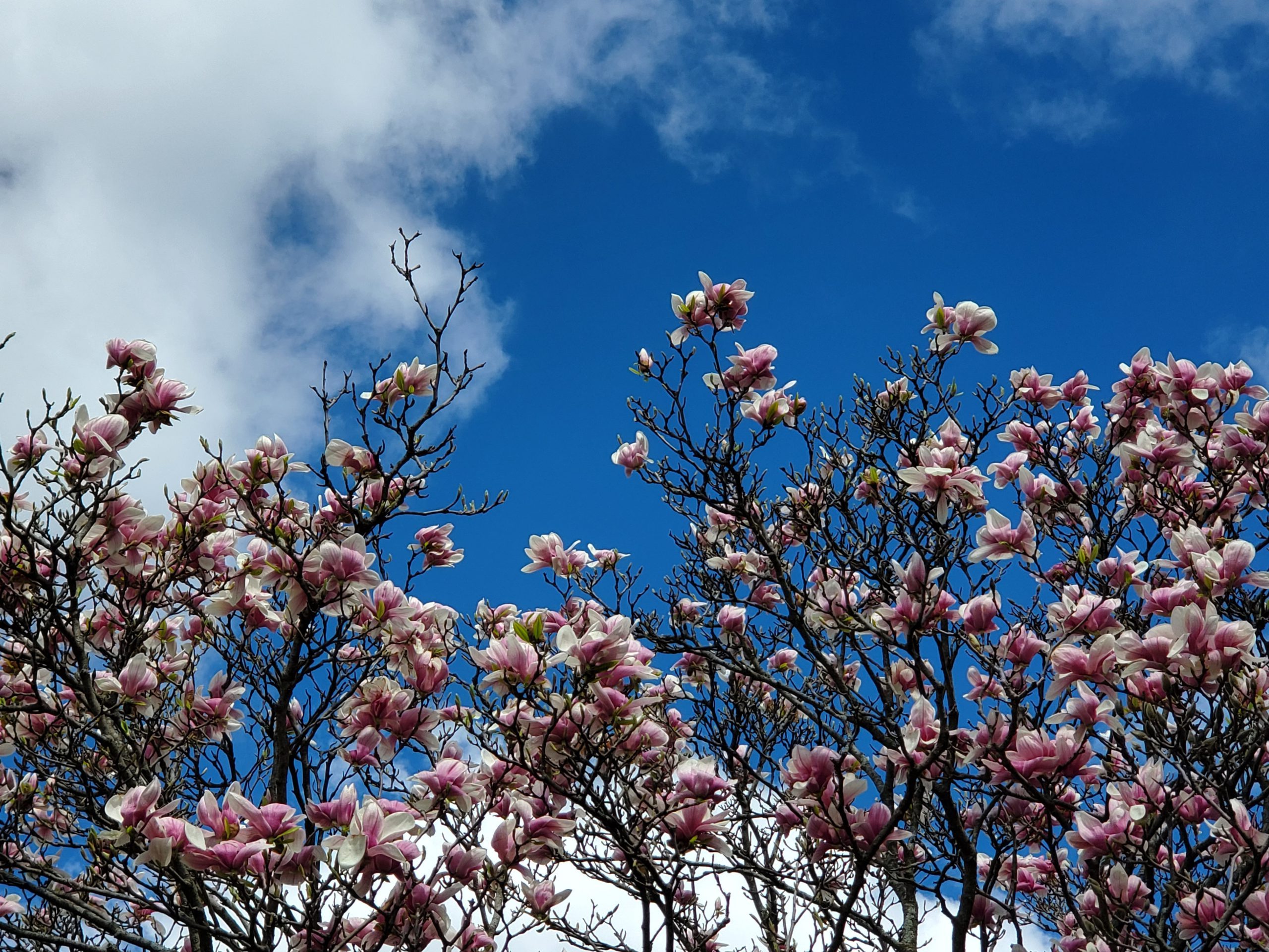 Weather: Cool & rainy to start, but more pleasant late-week - The ...