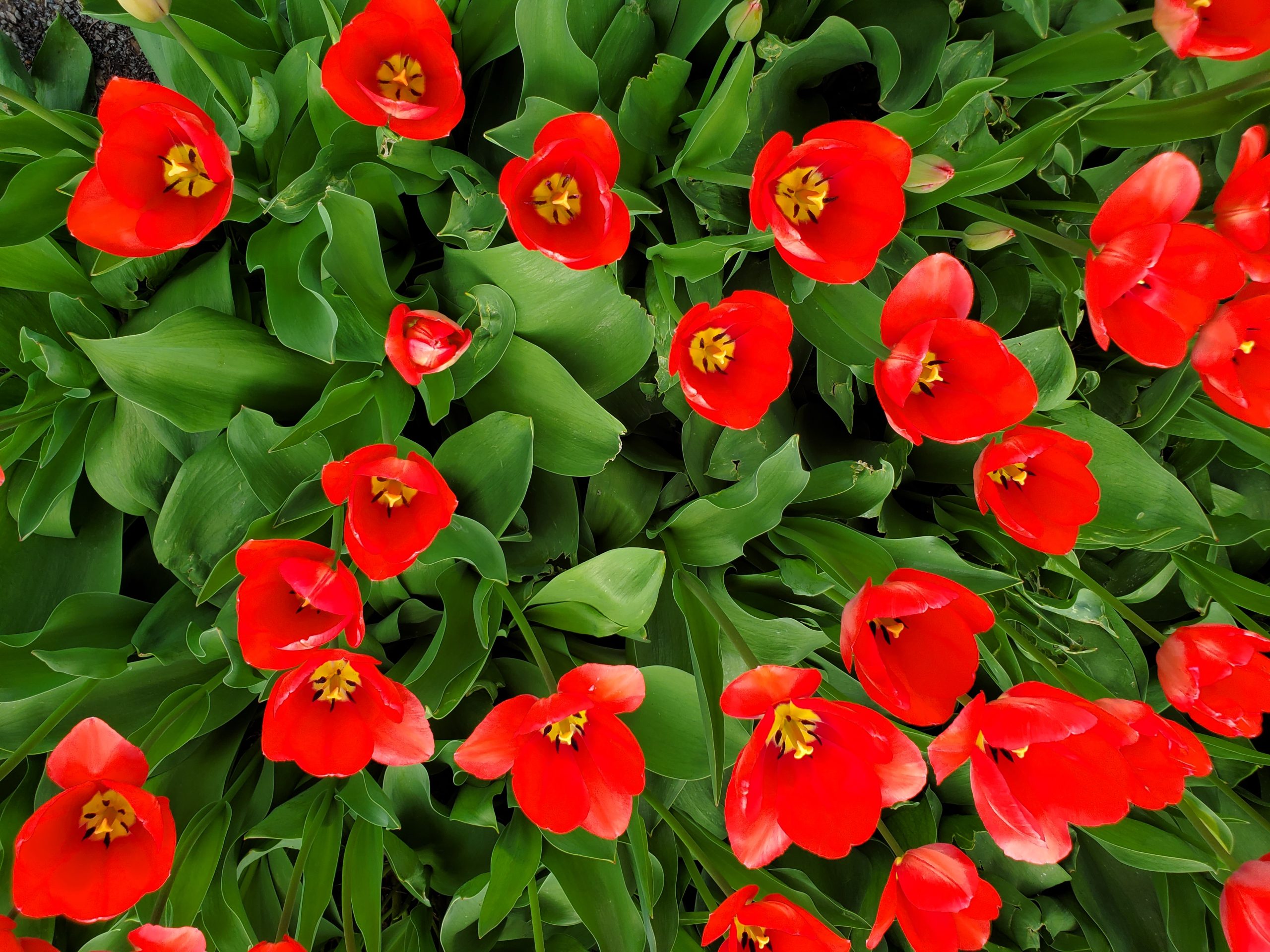 Weather: Warm, pleasant conditions this week ahead - The Ithaca Voice