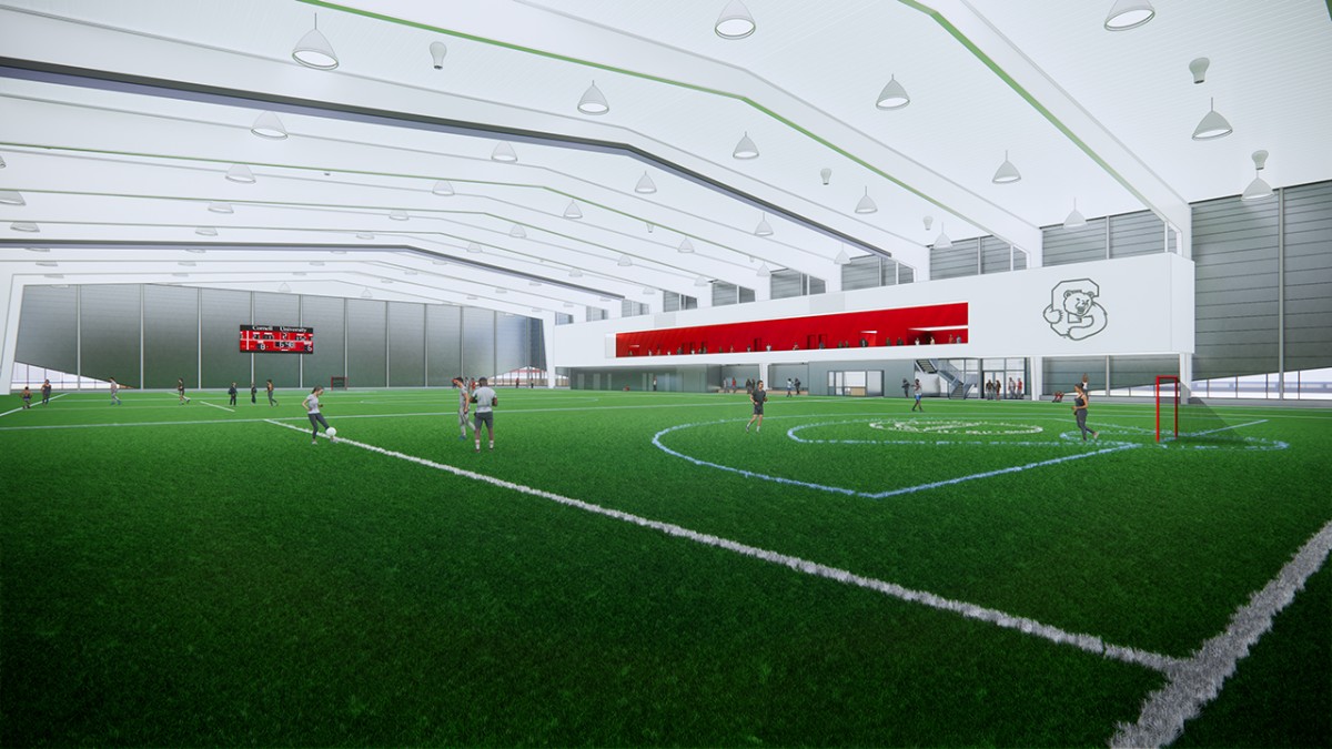 Cornell tussles with Planning Board over artificial turf plan at new ...