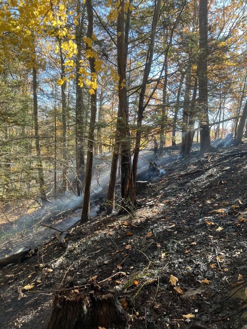 Brush fire extinguished before nearby structures impacted - The Ithaca Voice