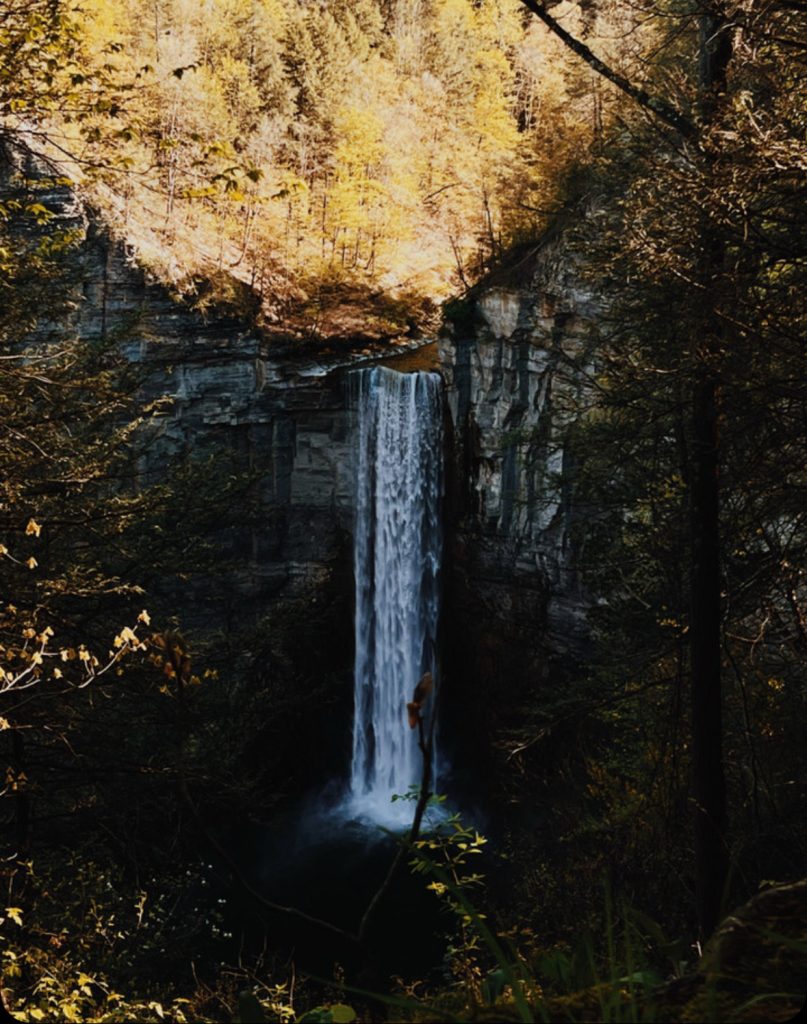 Sights and Scenes of Ithaca, 2024 - The Ithaca Voice