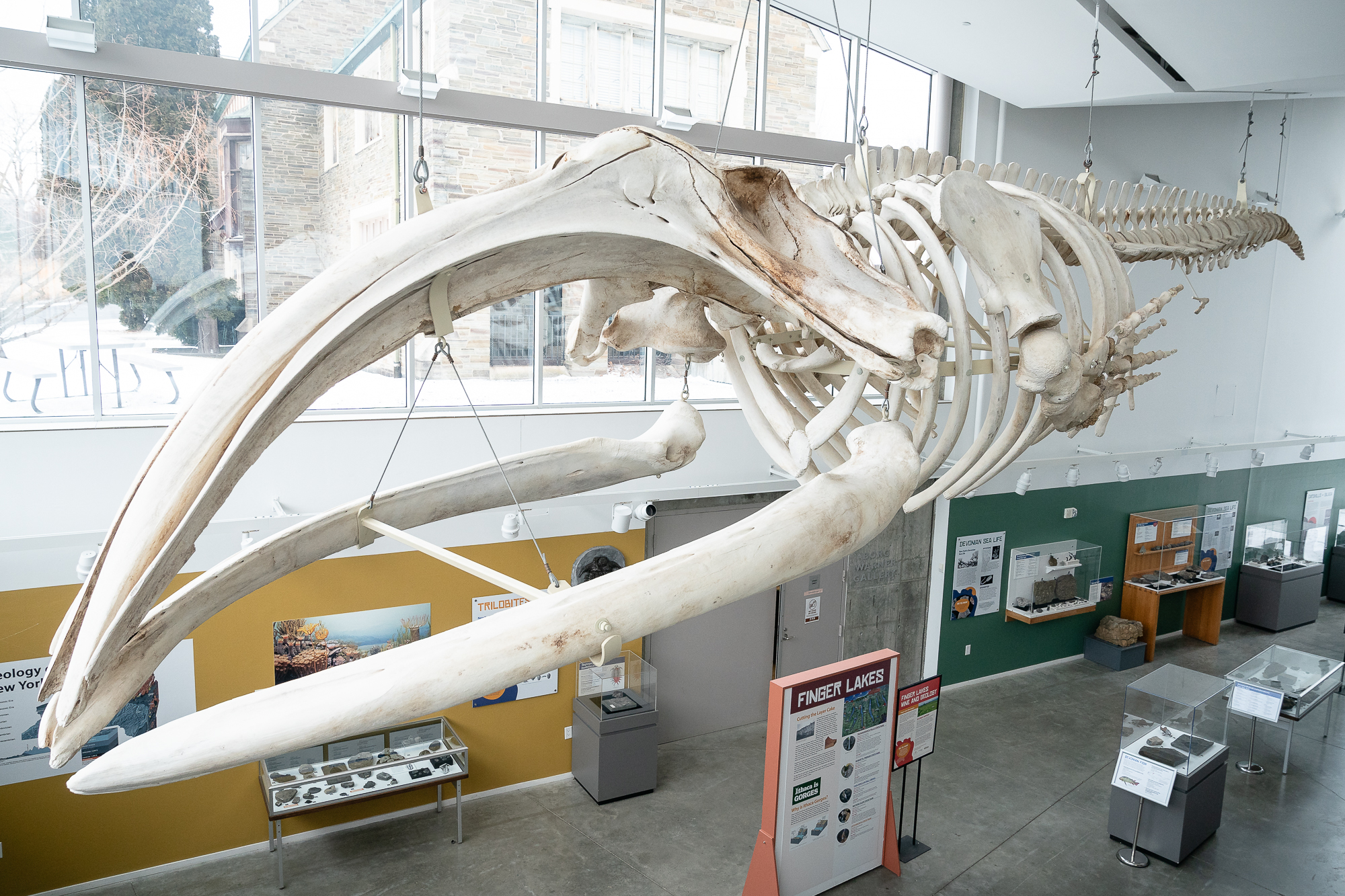 Museum of the Earth faces extinction under “imminent” threat of ...