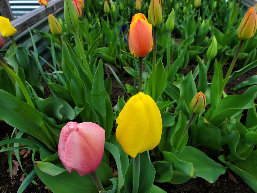 Weather: Mild, dry, and welcomed - The Ithaca Voice